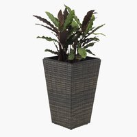 Planters & Pots | Outdoor Hanging Baskets | JYSK Ireland